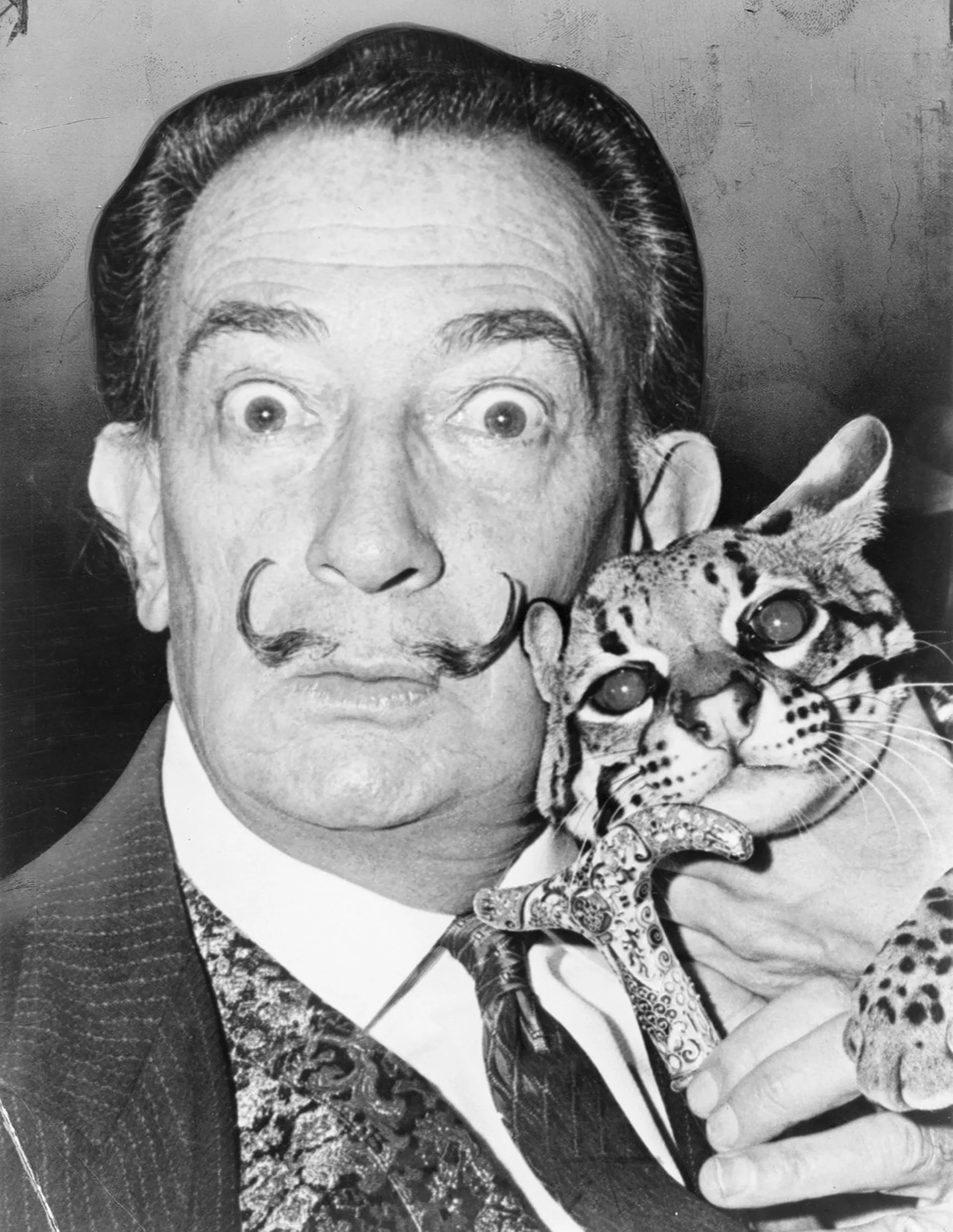 Cats and artists in photography - NRC