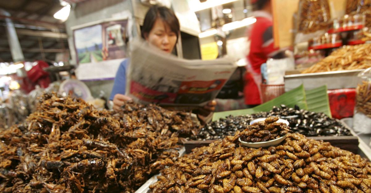 Insecten eten vies? We zullen wel moeten - NRC