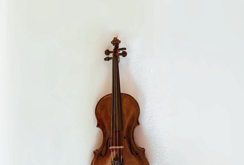 ‘Mijn viool is als een geliefd huisdier’ - NRC