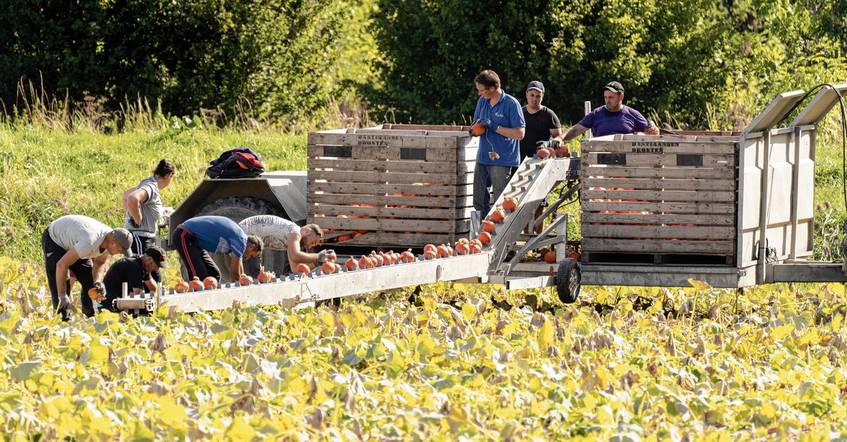 ‘Migrant belast sociale zekerheid relatief weinig’ - NRC