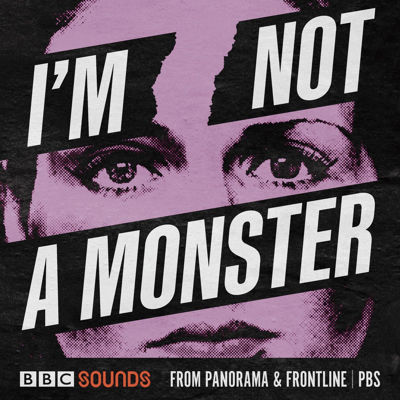 Sam Sally, de Amerikaanse Laura H. - NRC