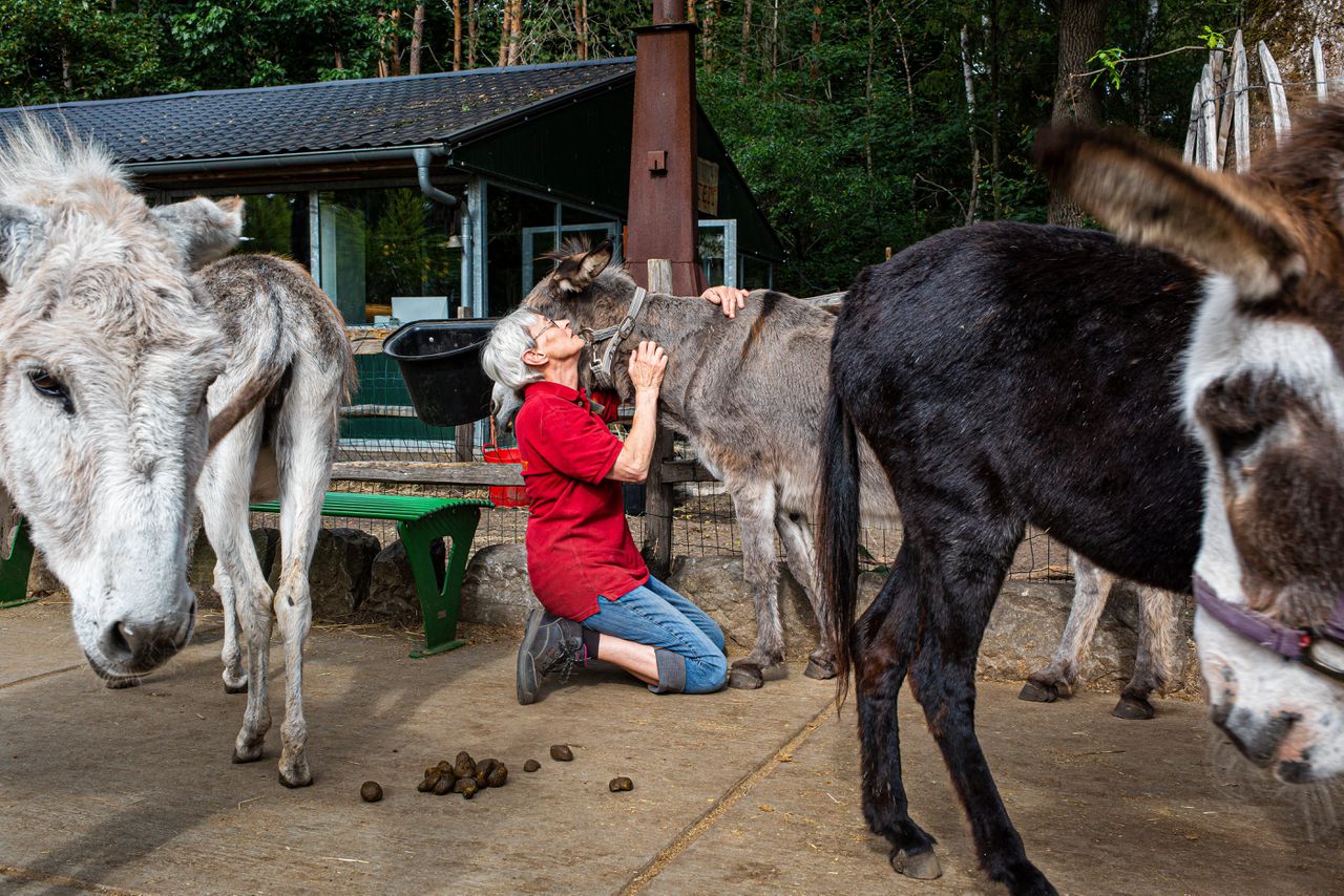 ‘Een ezel moet je alles vragen’ - NRC