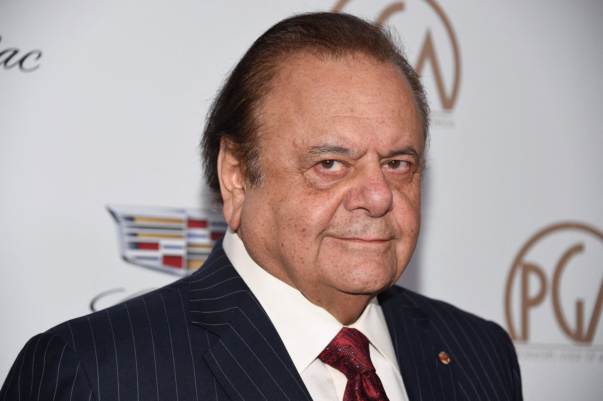 Paul Sorvino wilde méér zijn dan de eeuwige maffiabaas - NRC