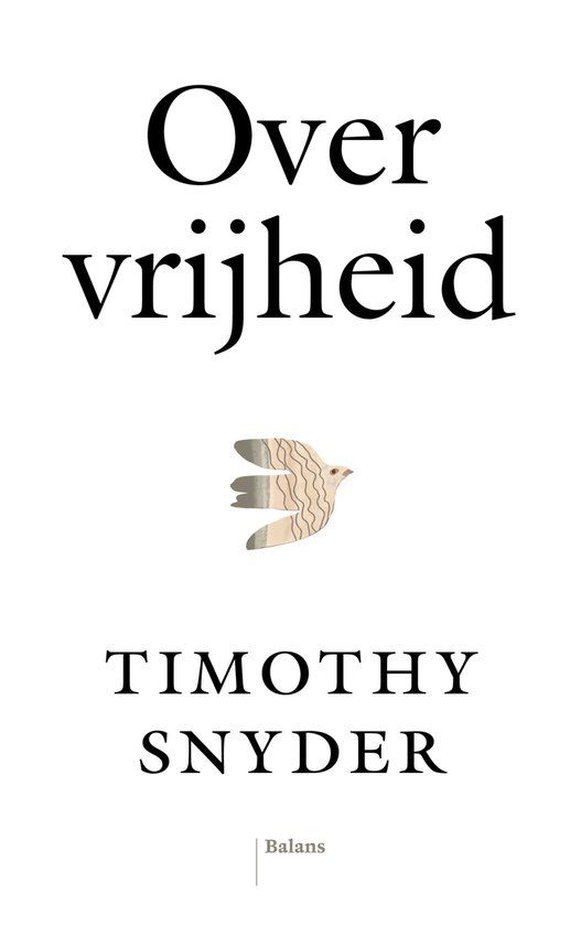 Historicus Timothy Snyder houdt een sterk pleidooi voor een progressief ...