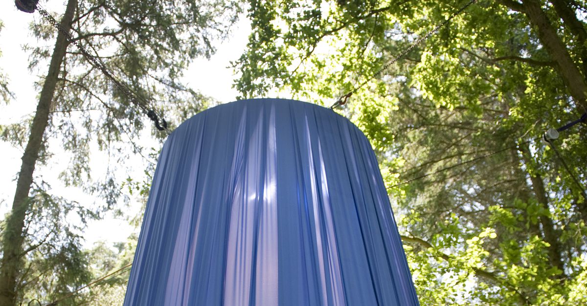 Tranen bij een refrein in het bos - NRC