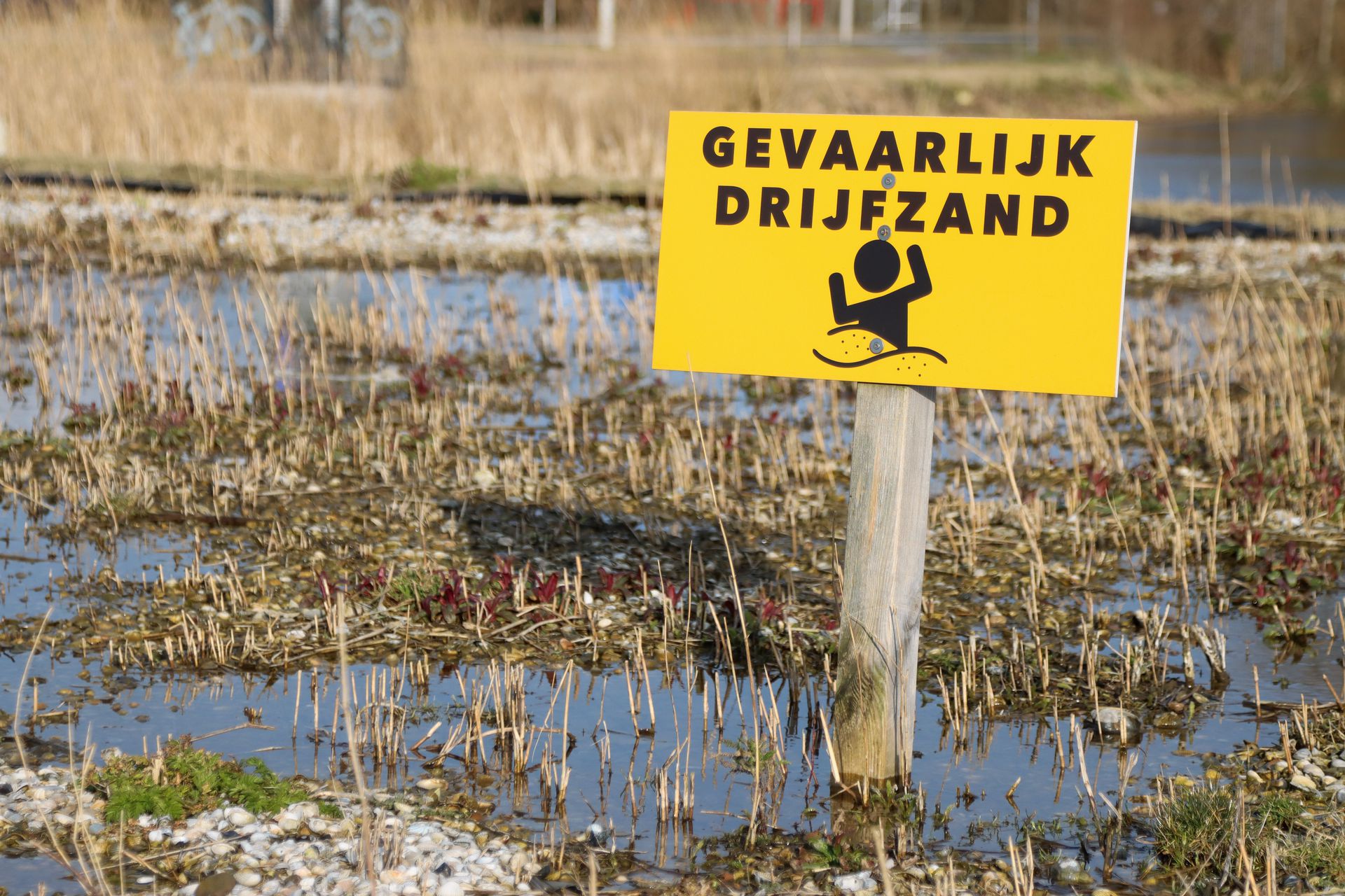 Kun je verdrinken in drijfzand? - NRC