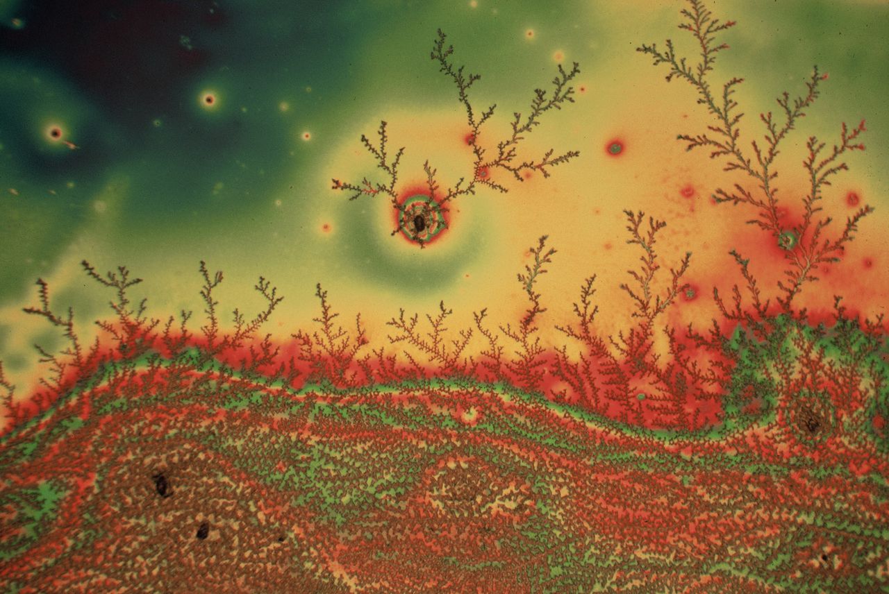 Expositie met ‘Vroman-effect’ - NRC