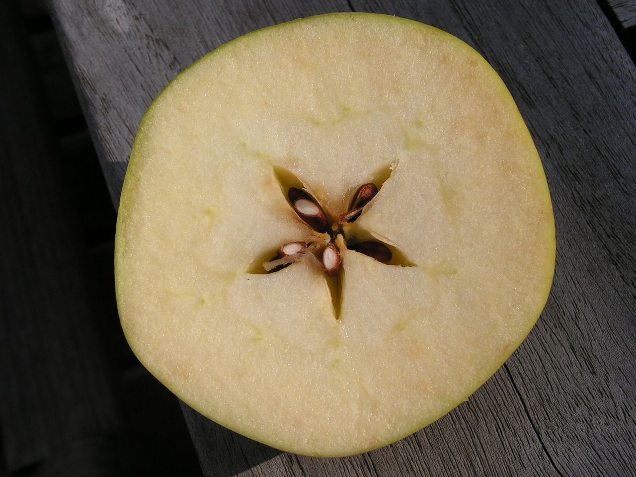 Appelster - NRC