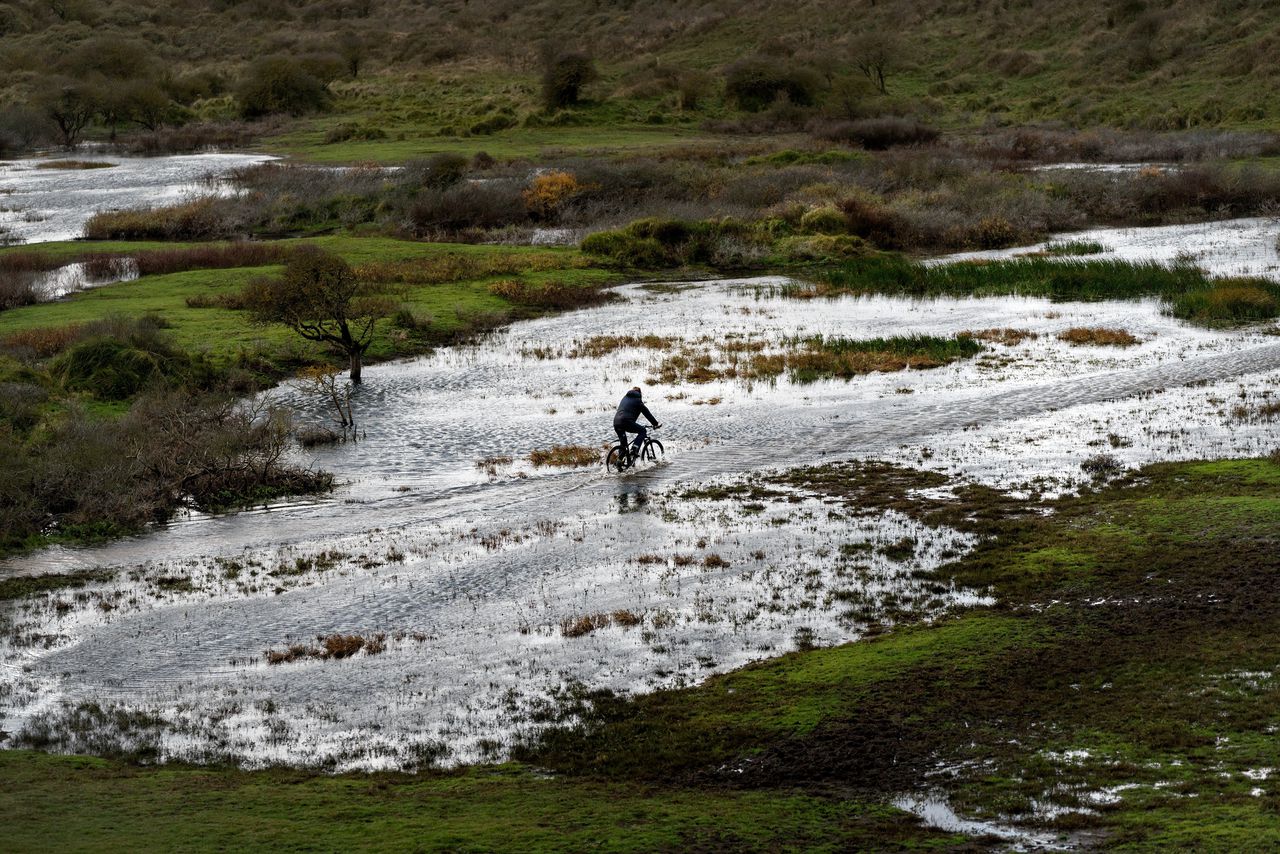 Te veel zand en te veel water: Marc en Marjo moeten in de duinen te ...