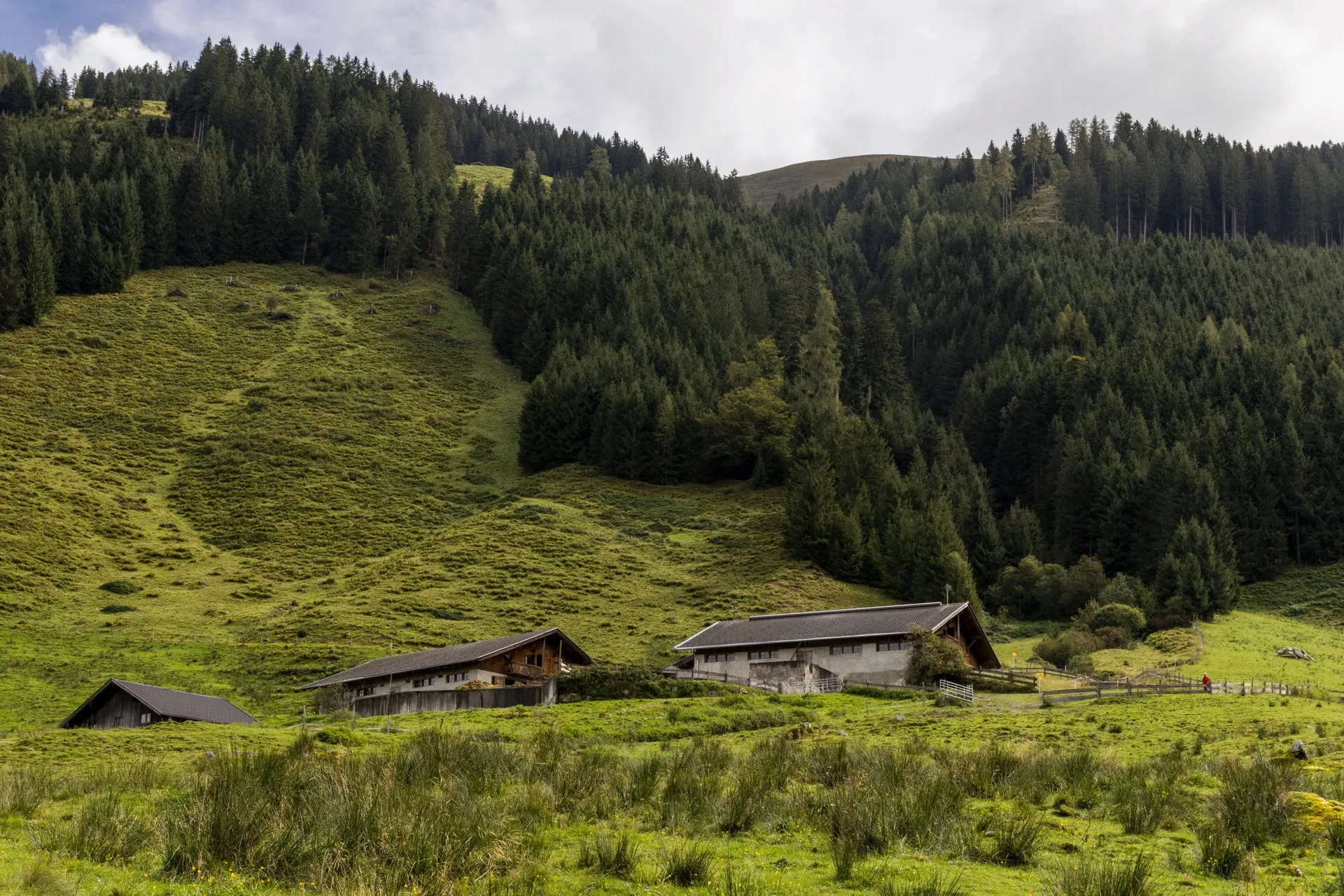 Zelfs op excursie door de Alpen botst de rechtse coalitie over landbouw ...