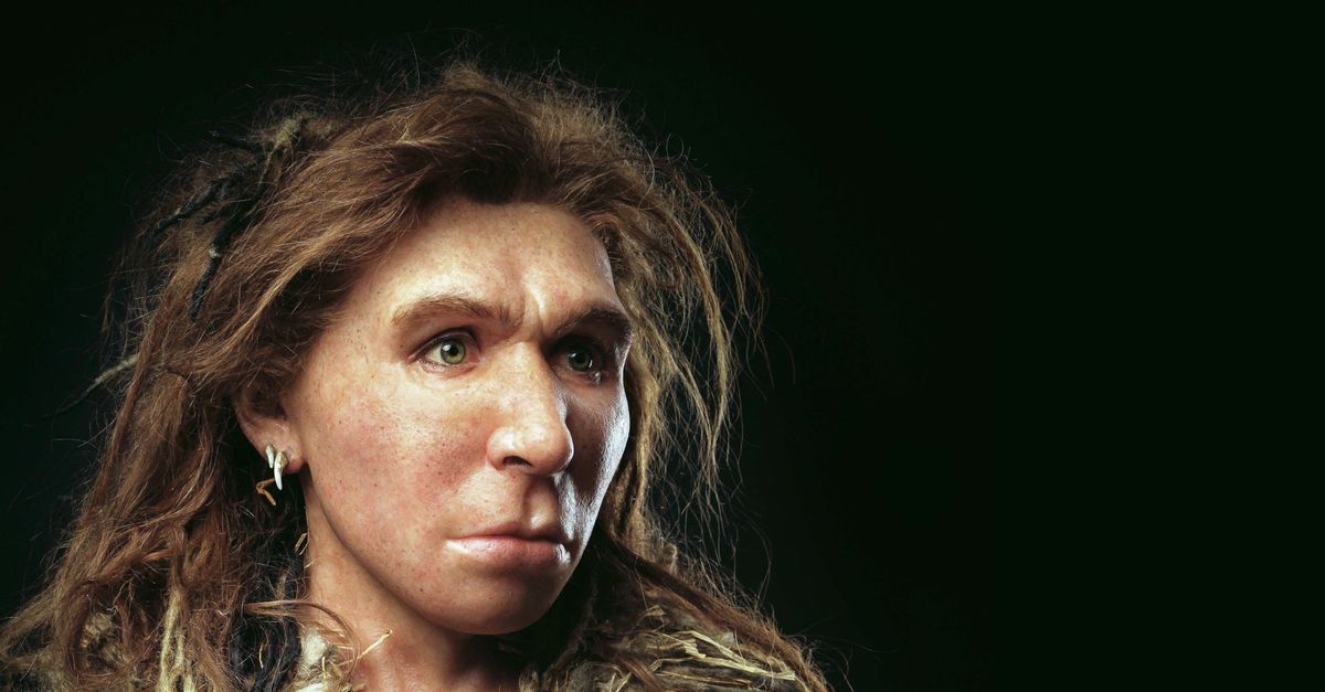 Neanderthaler kon heus wel wat - NRC