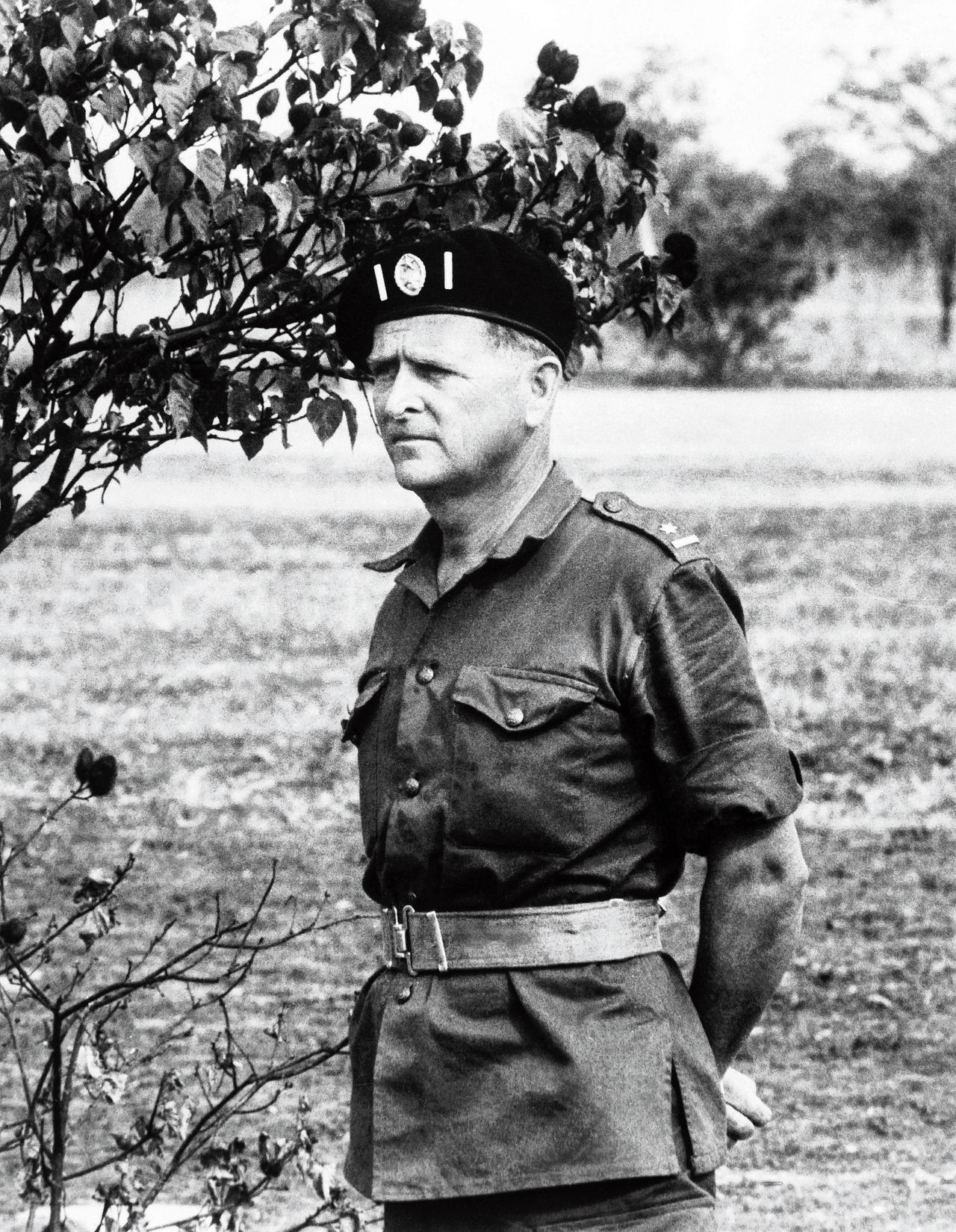 Huurling in Congo en Hollywood - NRC