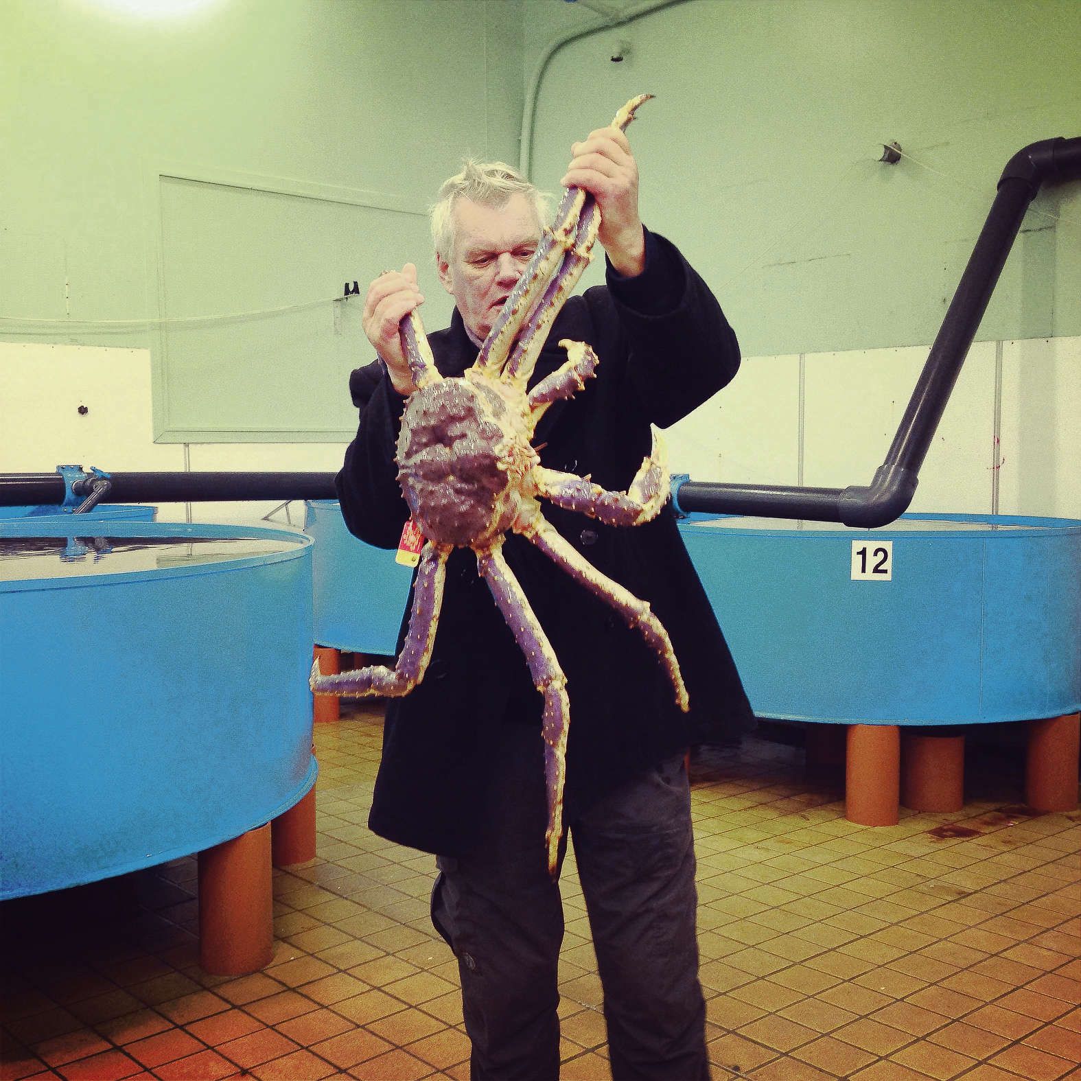 Een goudmijntje, die Chinese wolhandkrab - NRC