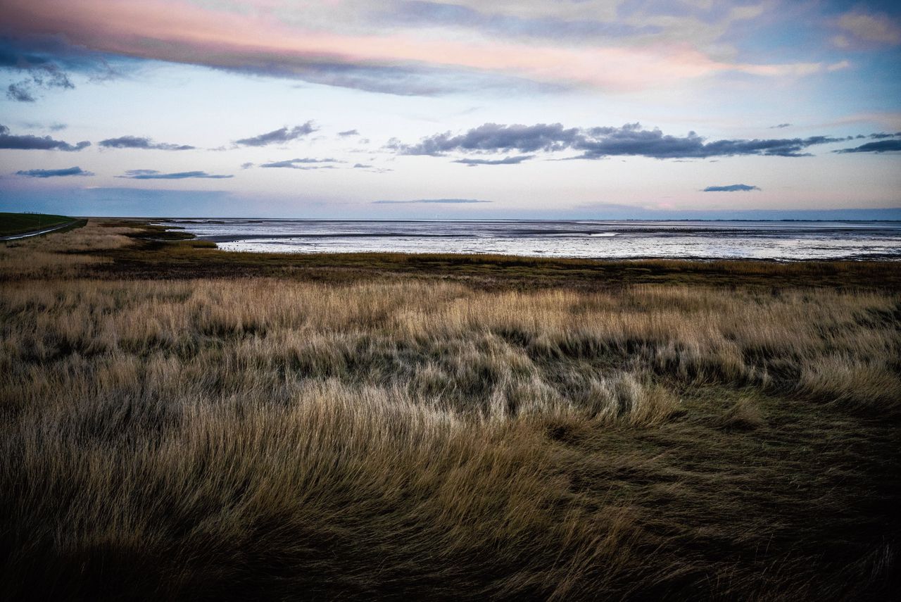 Unesco waarschuwt: zonder maatregelen kan de Waddenzee als bedreigd ...