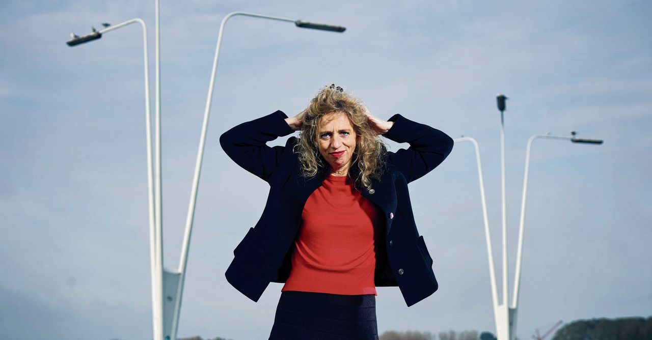 Ik schaam me dat ik het ballet heb opgegeven - NRC