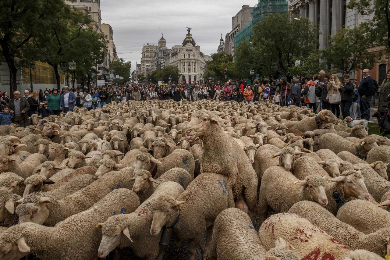 Dieren in het nieuws in 2016 - NRC