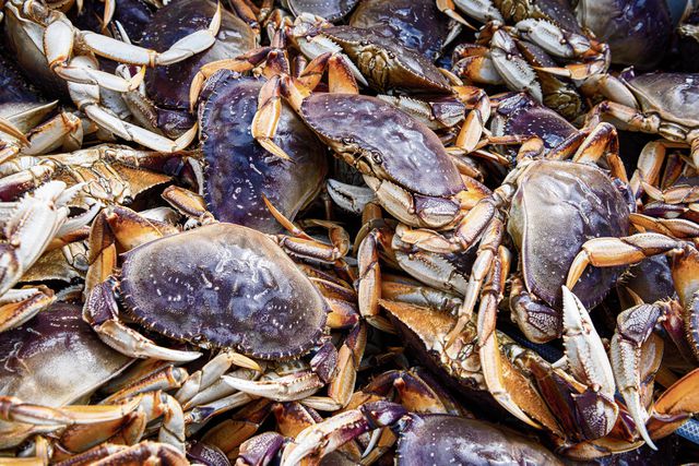 Geperste krabbeskeletten in een duurzame batterij - NRC