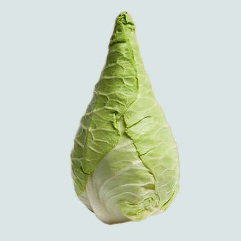 Hondenblad en waterspinazie - NRC