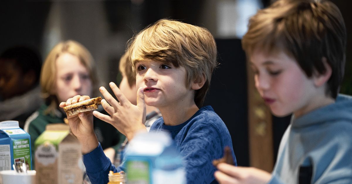Nederland heeft te weinig regels voor gezonder eten - NRC