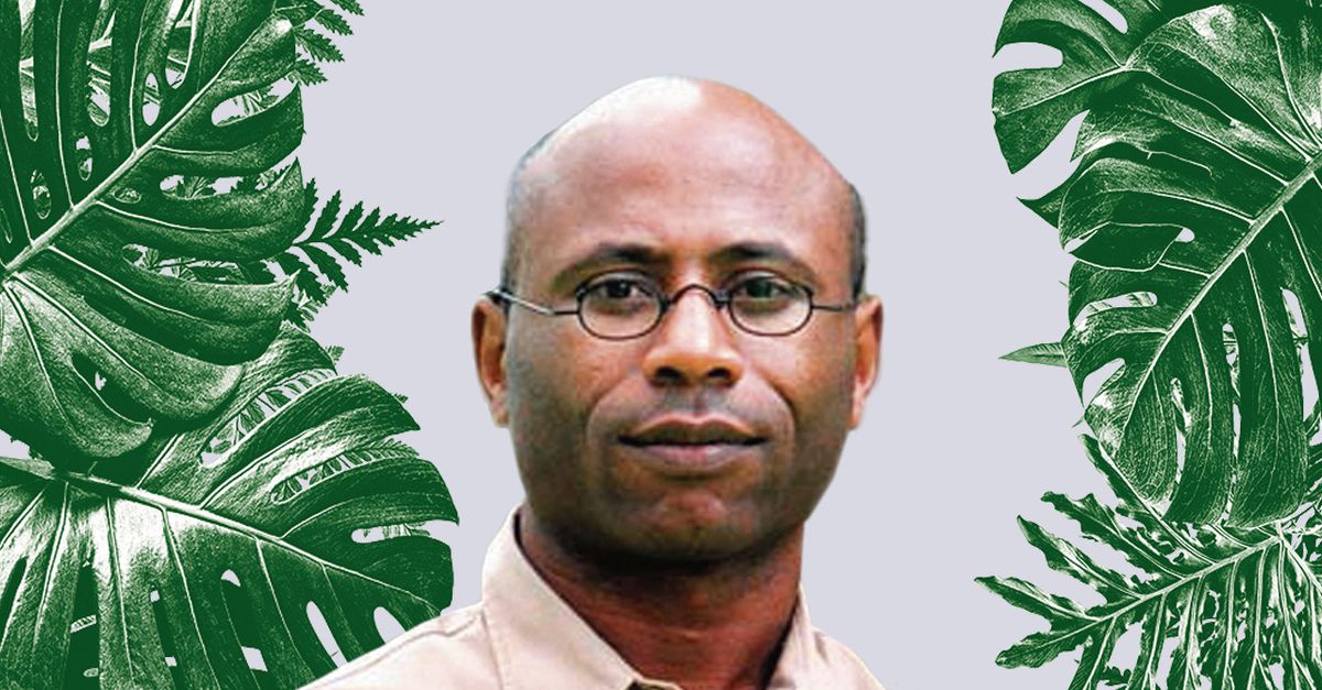 Iwan Brave: ‘In het regenwoud kom ik tot mezelf’ - NRC