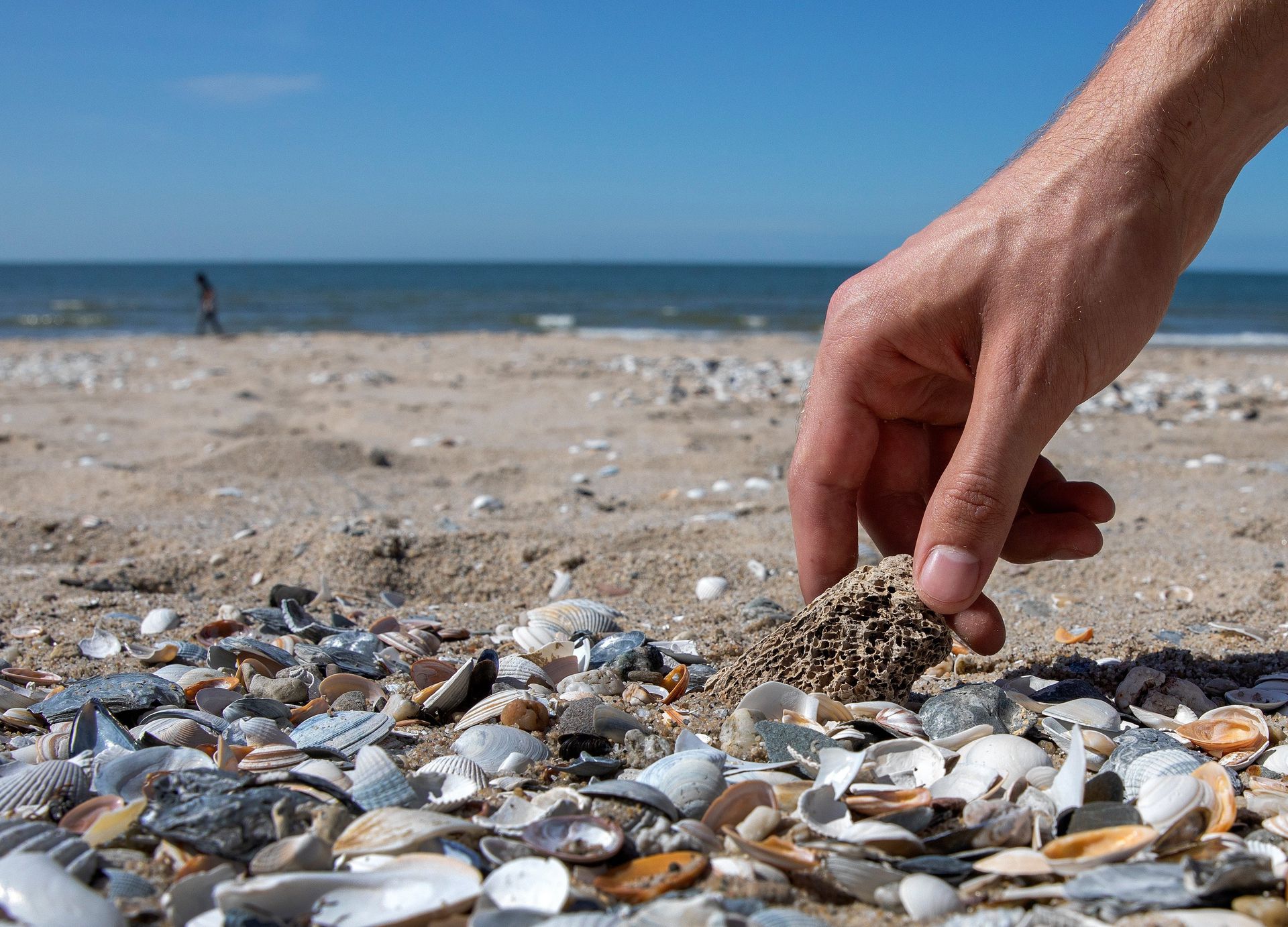 Slagtanden en hyenakeutels verraden de wilde wereld die de Noordzee ooit was - NRC