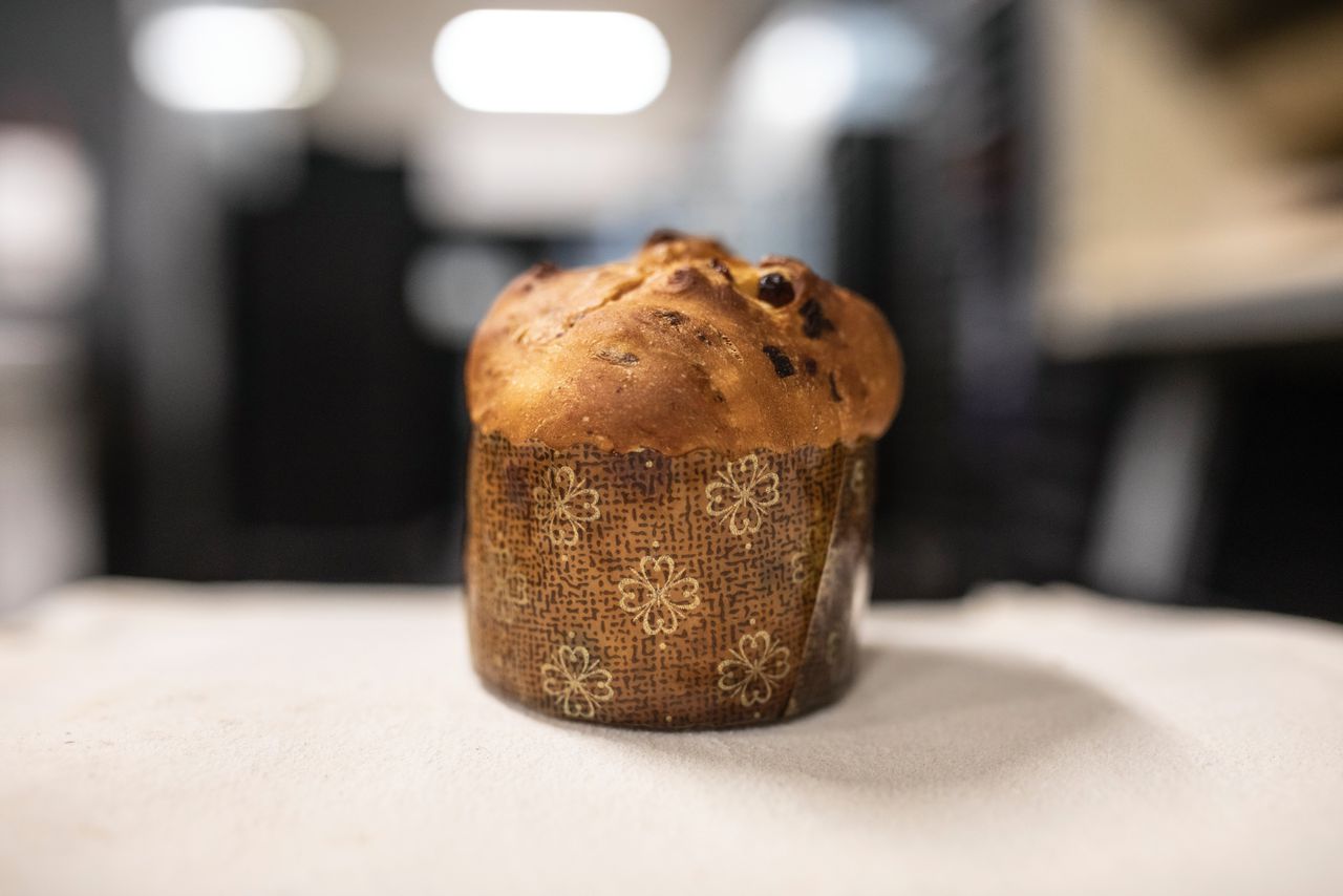 Het oudste familiebedrijf van Nederland staat in De Meern en de bakker ...