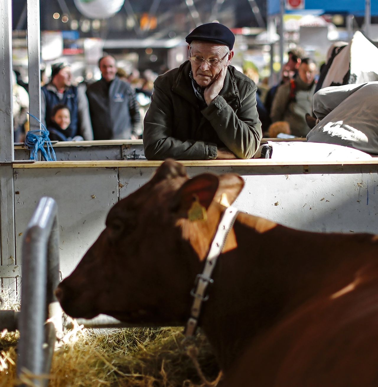 Franse boeren redden het niet meer - NRC