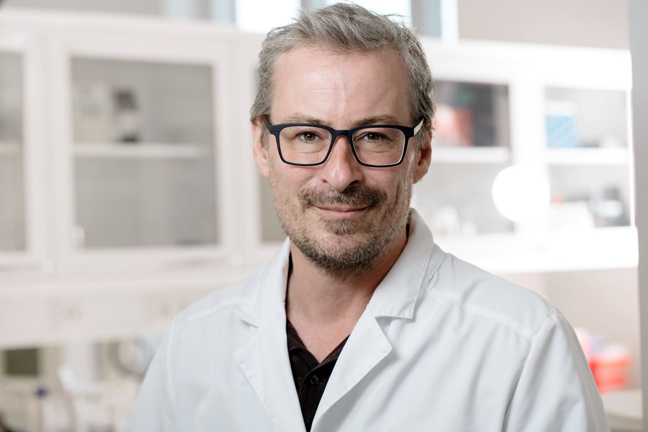 Veel auto-immuunziekten zijn een erfenis van oeroude herders - NRC