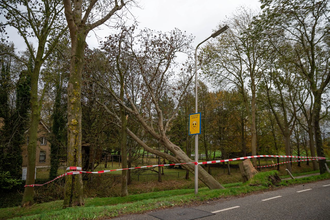 Code geel voor Noord- en Zuid-Holland vanwege hevige regenval na storm Ciarán - NRC