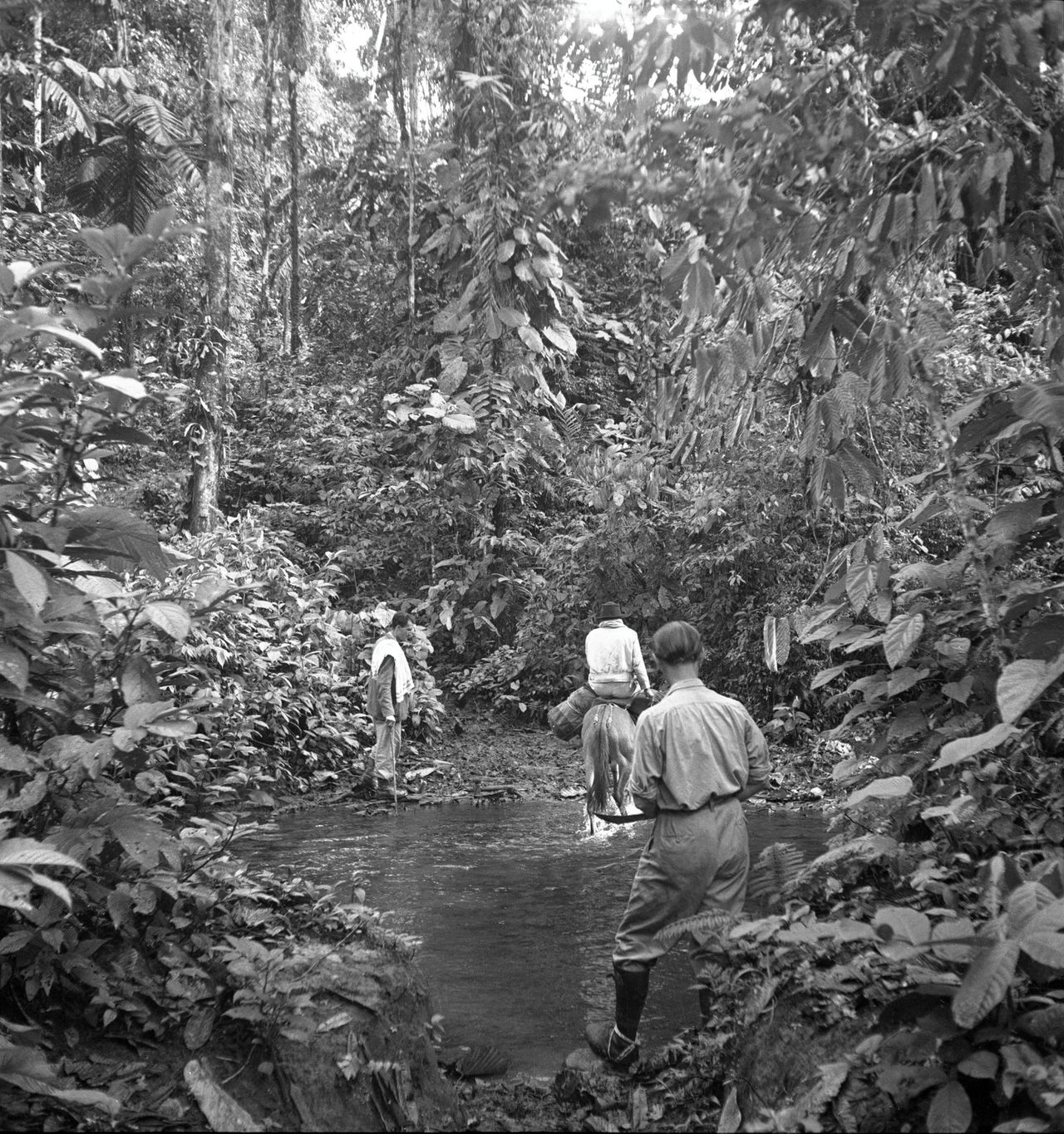 Wat twee speren zeggen over de gewelddadige geschiedenis van Shell - NRC