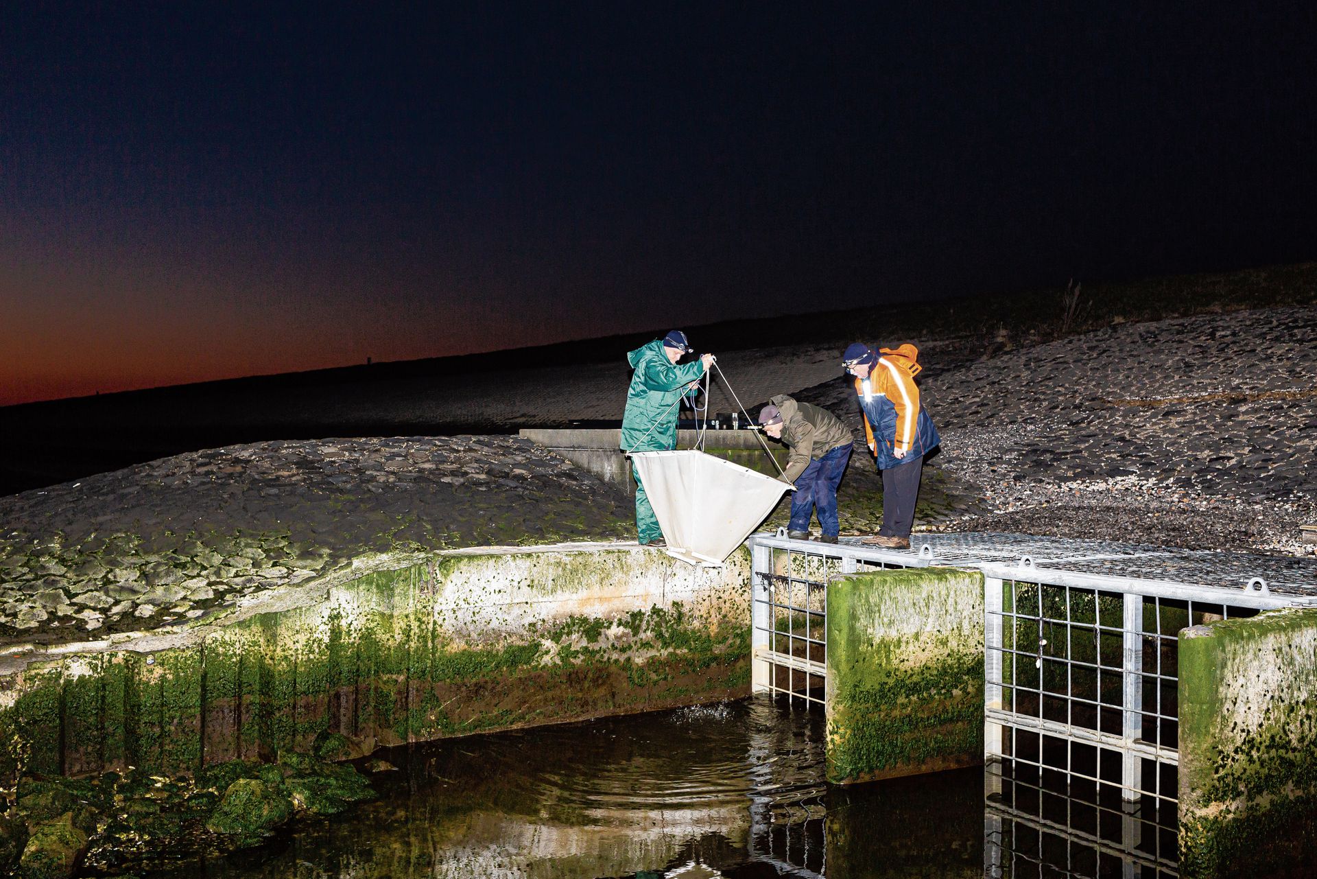 ‘Palingen ruimen rommel op’ - NRC