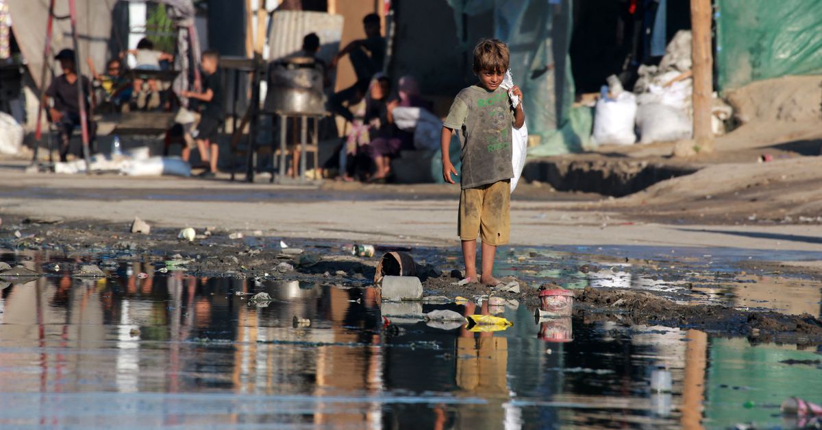 Israël biedt poliovaccin aan militairen aan na ontdekking virus in Gaza ...