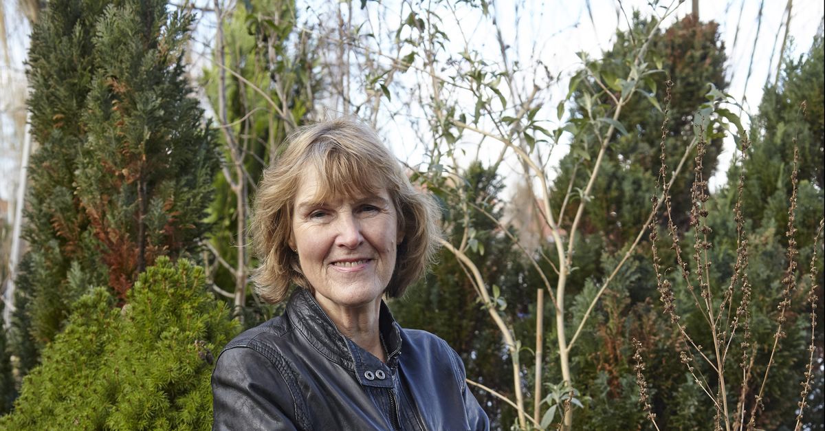 Hester Knibbe wint VSB Poëzieprijs 2015 - NRC