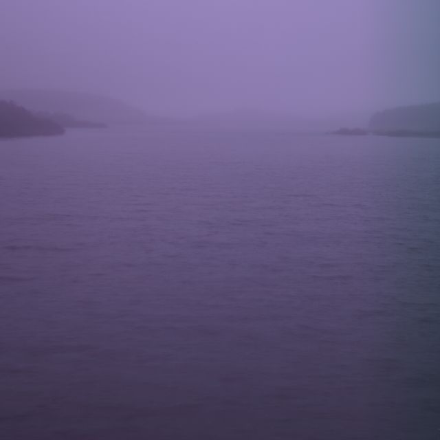 Het Romantische Landschap - NRC