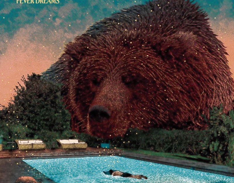 Villagers hervinden liefde voor eigen muziek - NRC