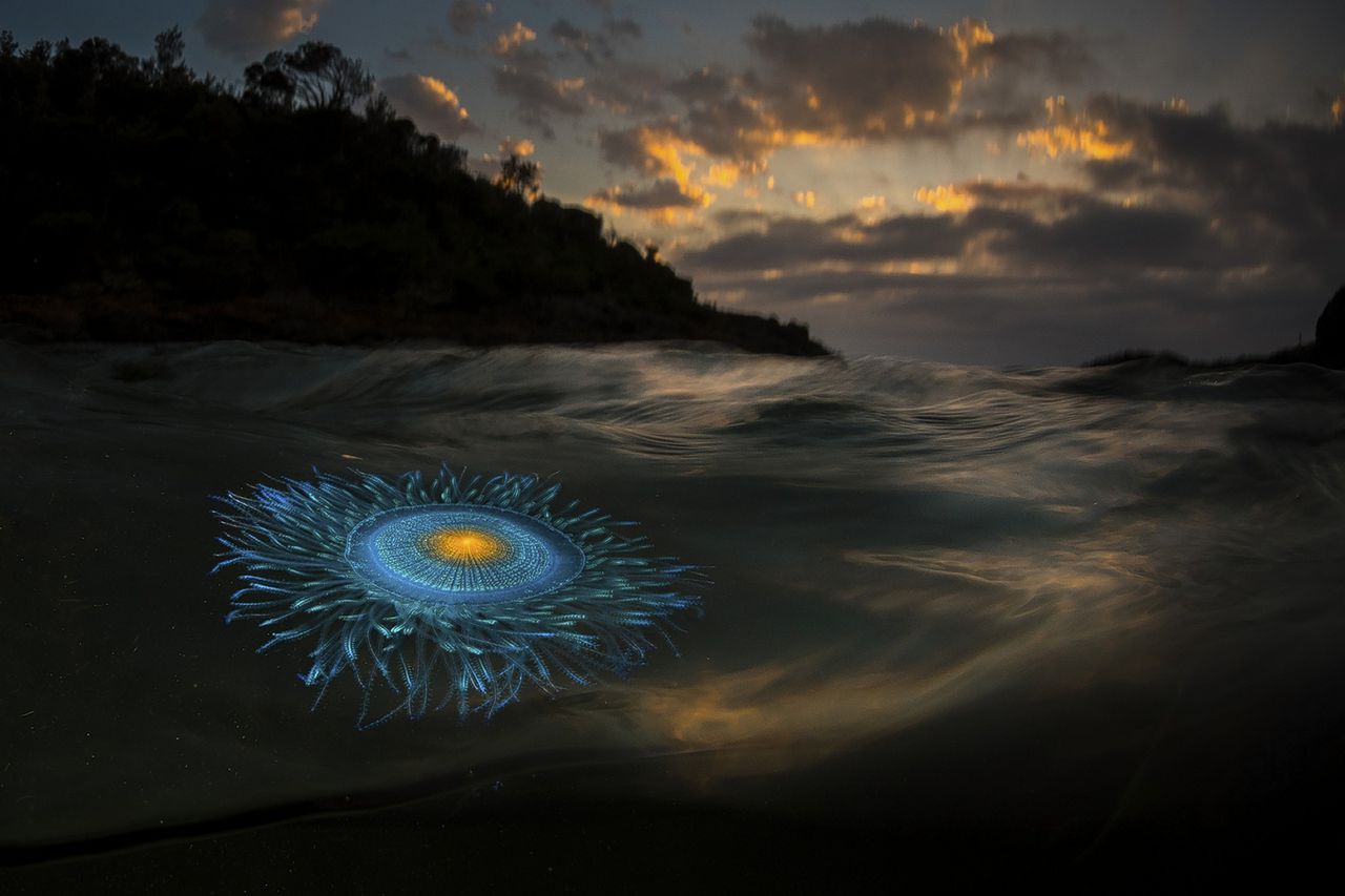 Beeldschoon, mysterieus maar ook zorgwekkend: de beste oceaanfoto’s van ...