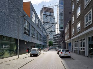 Waar komt de afname van groen in steden vandaan? ‘Alleen al het ...