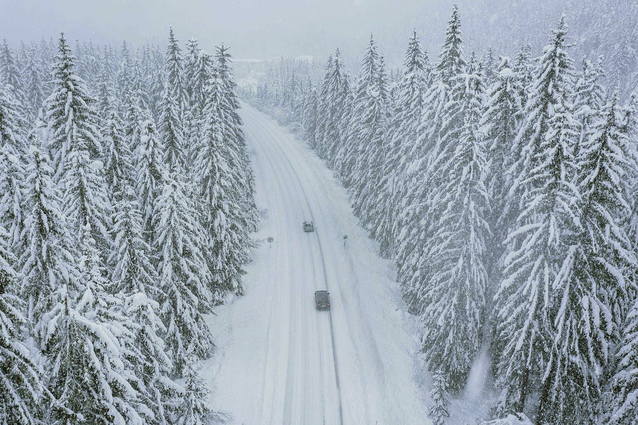 Winters landschap - NRC