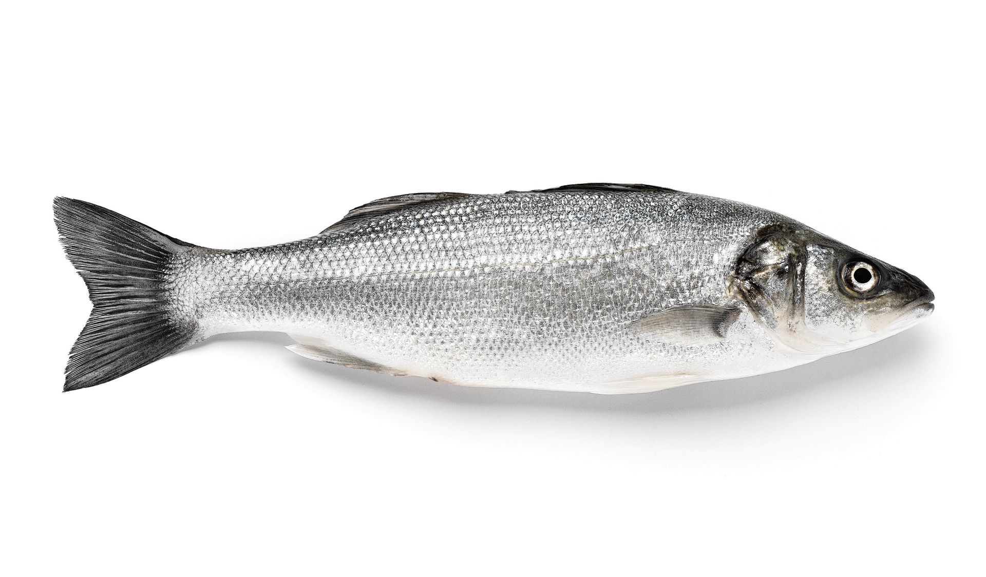 Gemarineerde zeebaars - NRC