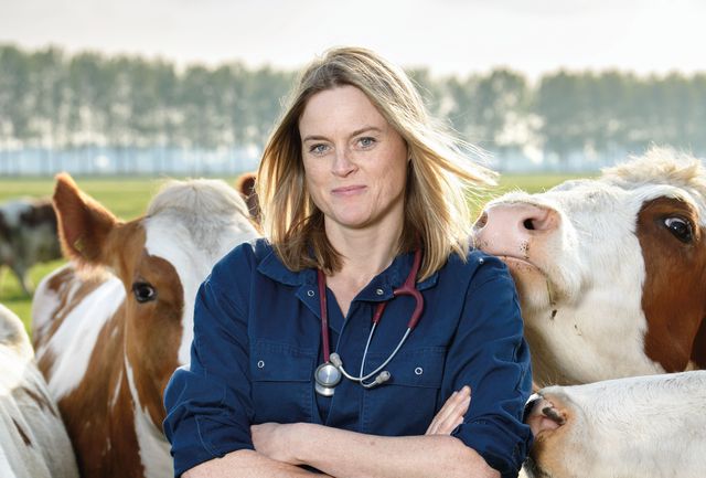 Een veearts met visie in treffende documentaire - NRC
