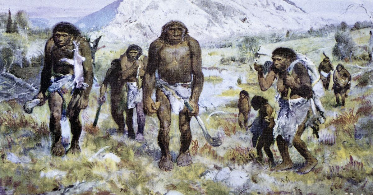 Weinig genetische variatie tussen Neanderthalers - NRC