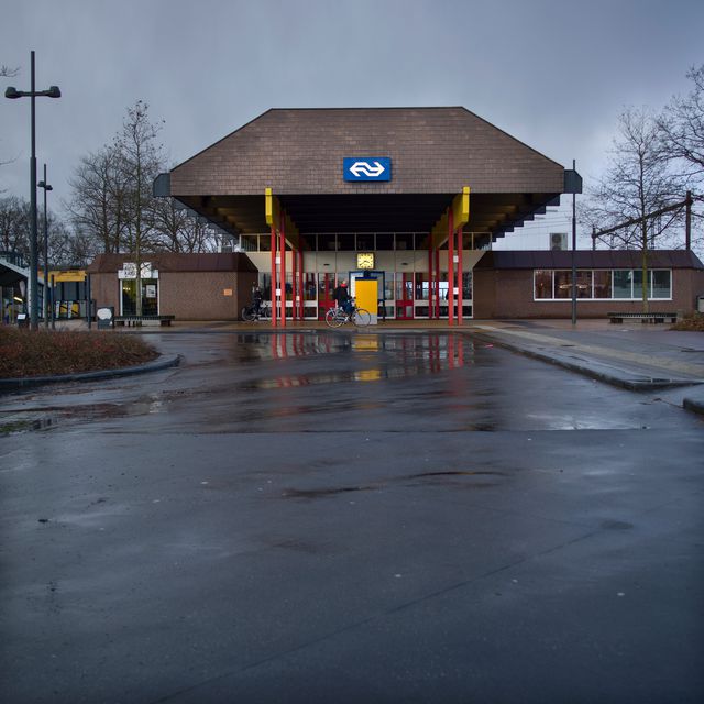 Wat zag Vincent van Gogh tijdens zijn verblijf in Drenthe? - NRC