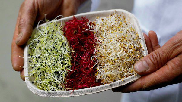 Ook Noord-Duitse taugé lijkt niet de bron van EHEC-uitbraak - NRC