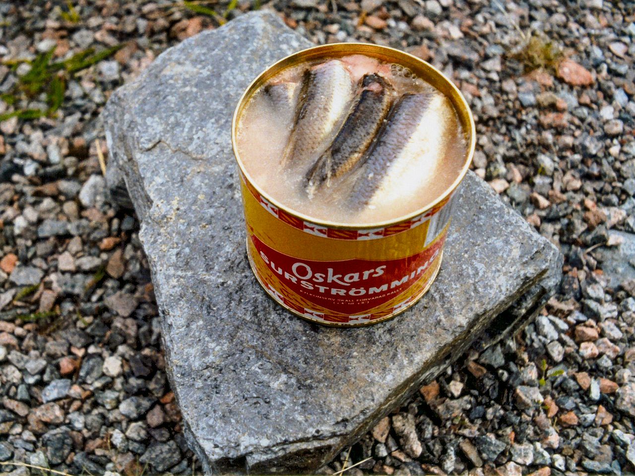 Begraven vis is oudste vorm van fermentatie - NRC