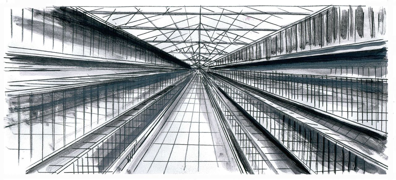 Den Haag moet juist wel een rol spelen… - NRC