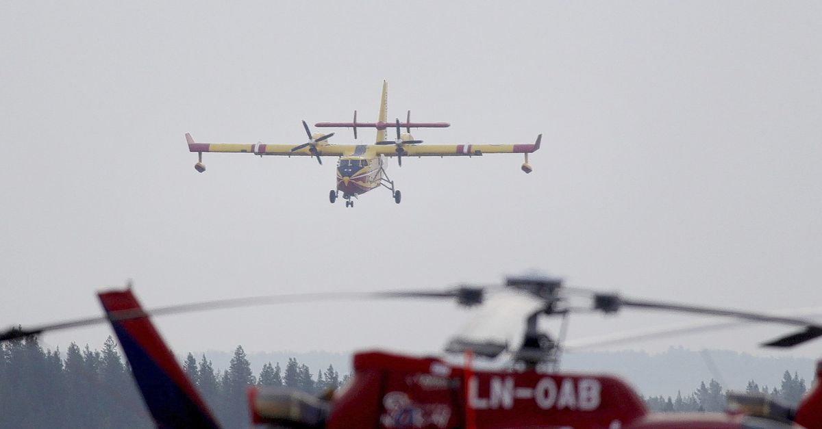 Door de hittegolf gaan in Zweden duizenden hectaren bos in rook op - NRC