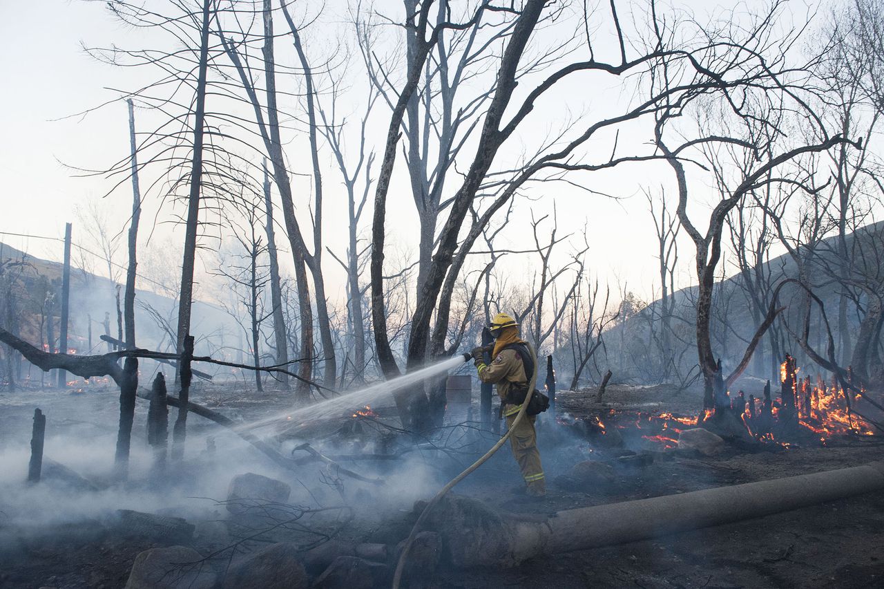 Hevige bosbrand Californië grotendeels teruggedrongen - NRC