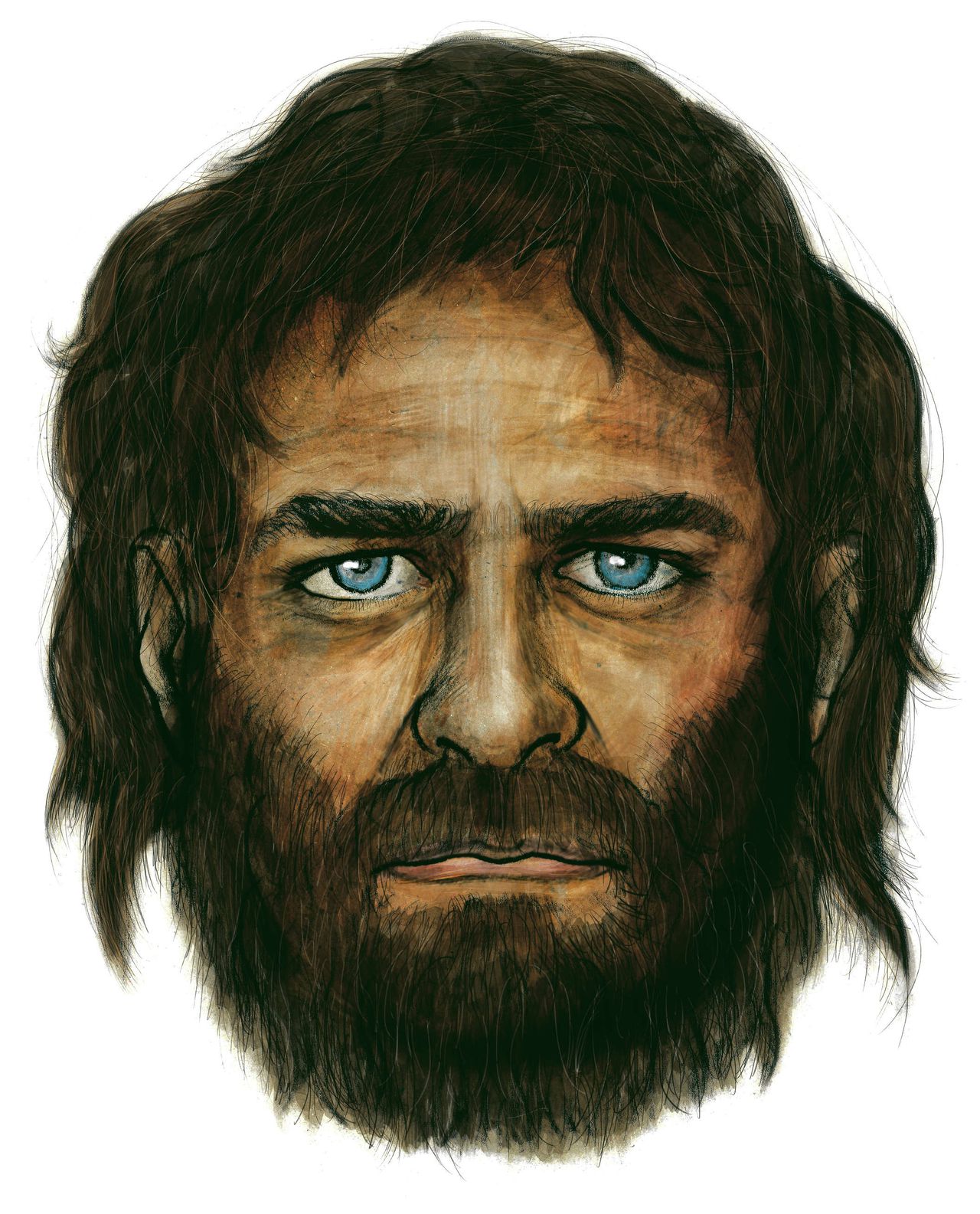 Genoom van een oerman met blauwe ogen - NRC