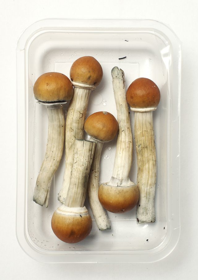 Paddo’s voor 18 jaar of ouder? - NRC