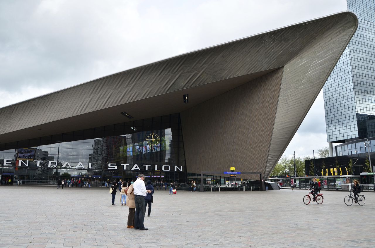 Treinen rond Rotterdam CS ontregeld door dier op spoor - NRC